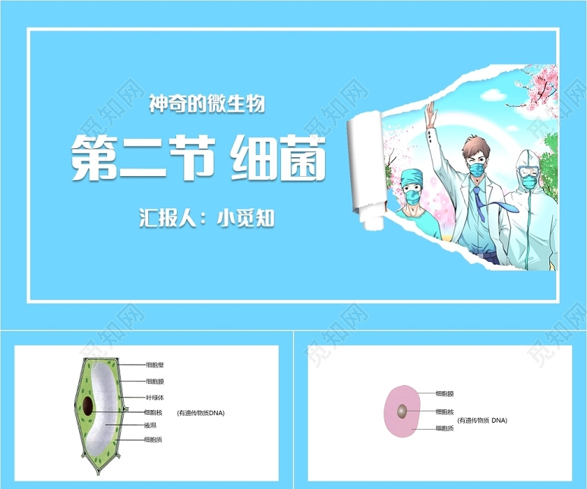 蓝色简约风神奇的微生物第二节细菌p教学细菌课件PPT模板下载 觅知网