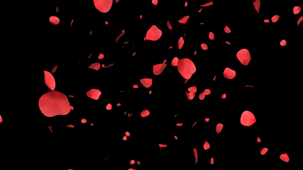 玫瑰花瓣视频模板 玫瑰花瓣ae视频素材下载 觅知网